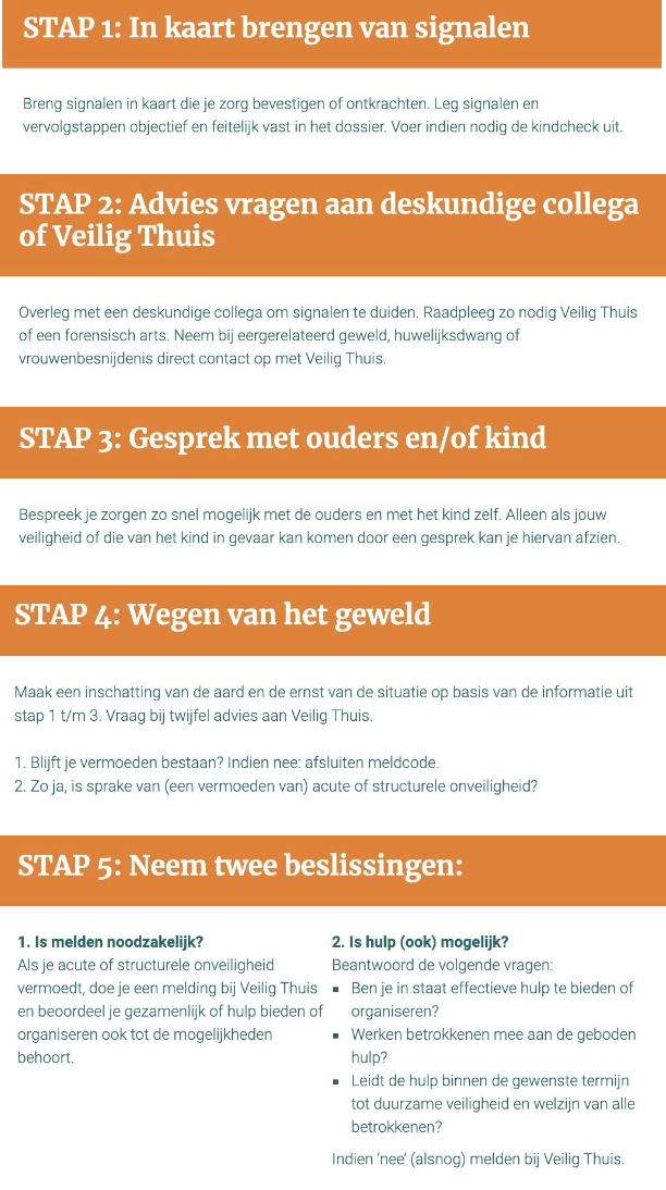 Nanny Nina Academy | Meldcode stappenplan